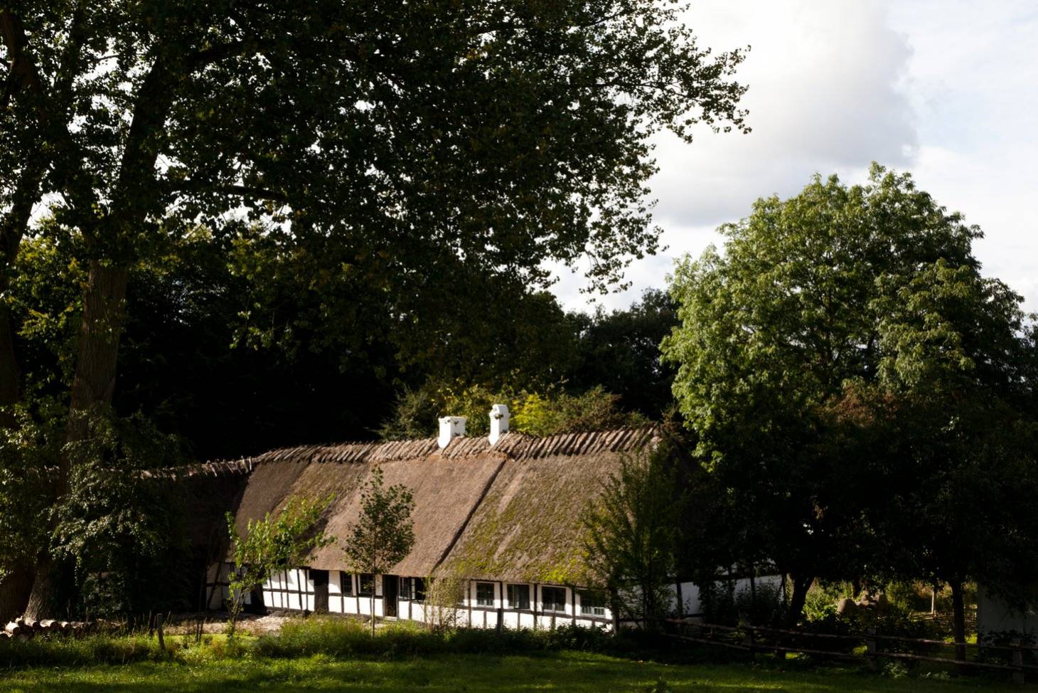 Reusachtige trollen verstopt in Deense natuur - RonReizen