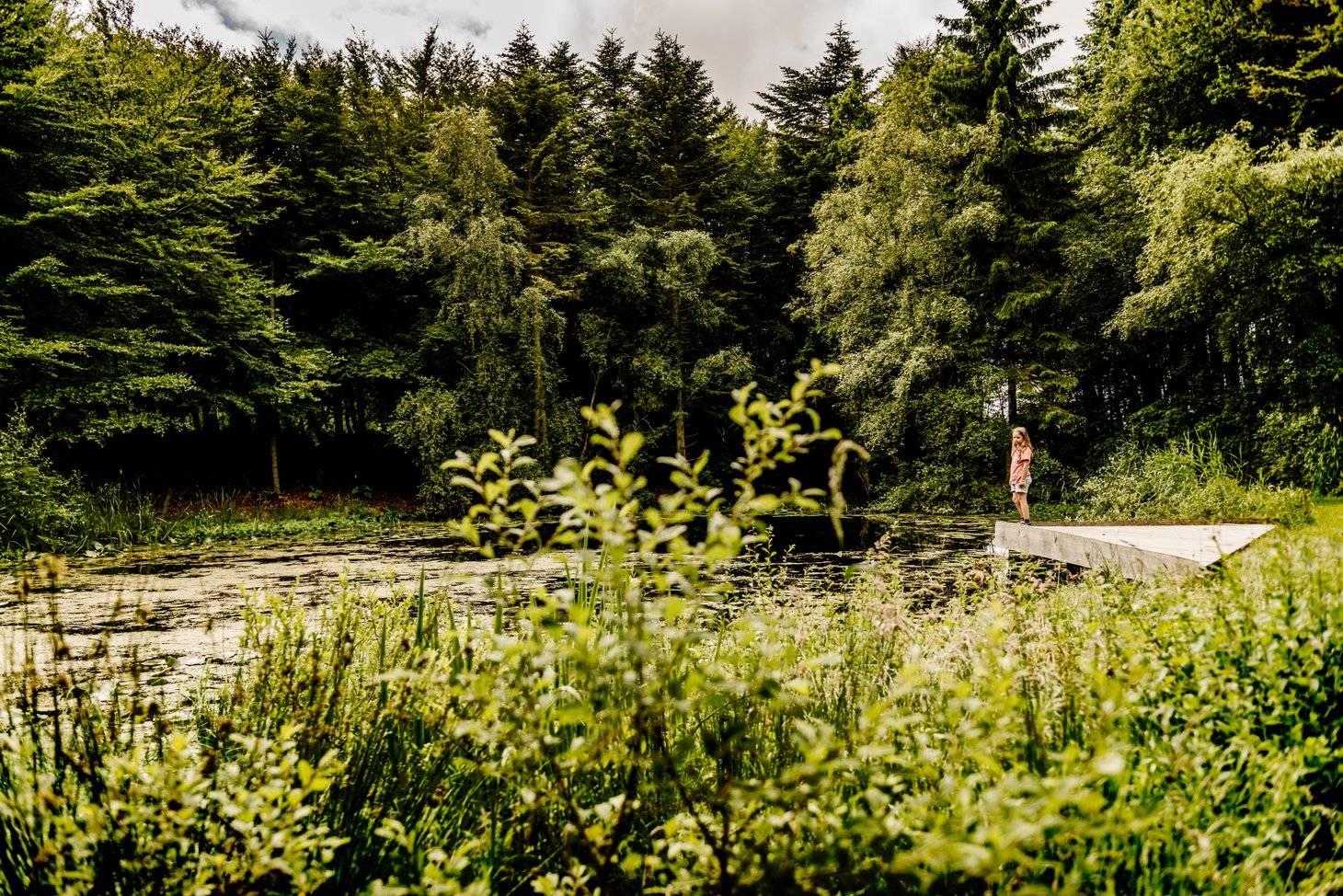Reusachtige trollen verstopt in Deense natuur - RonReizen