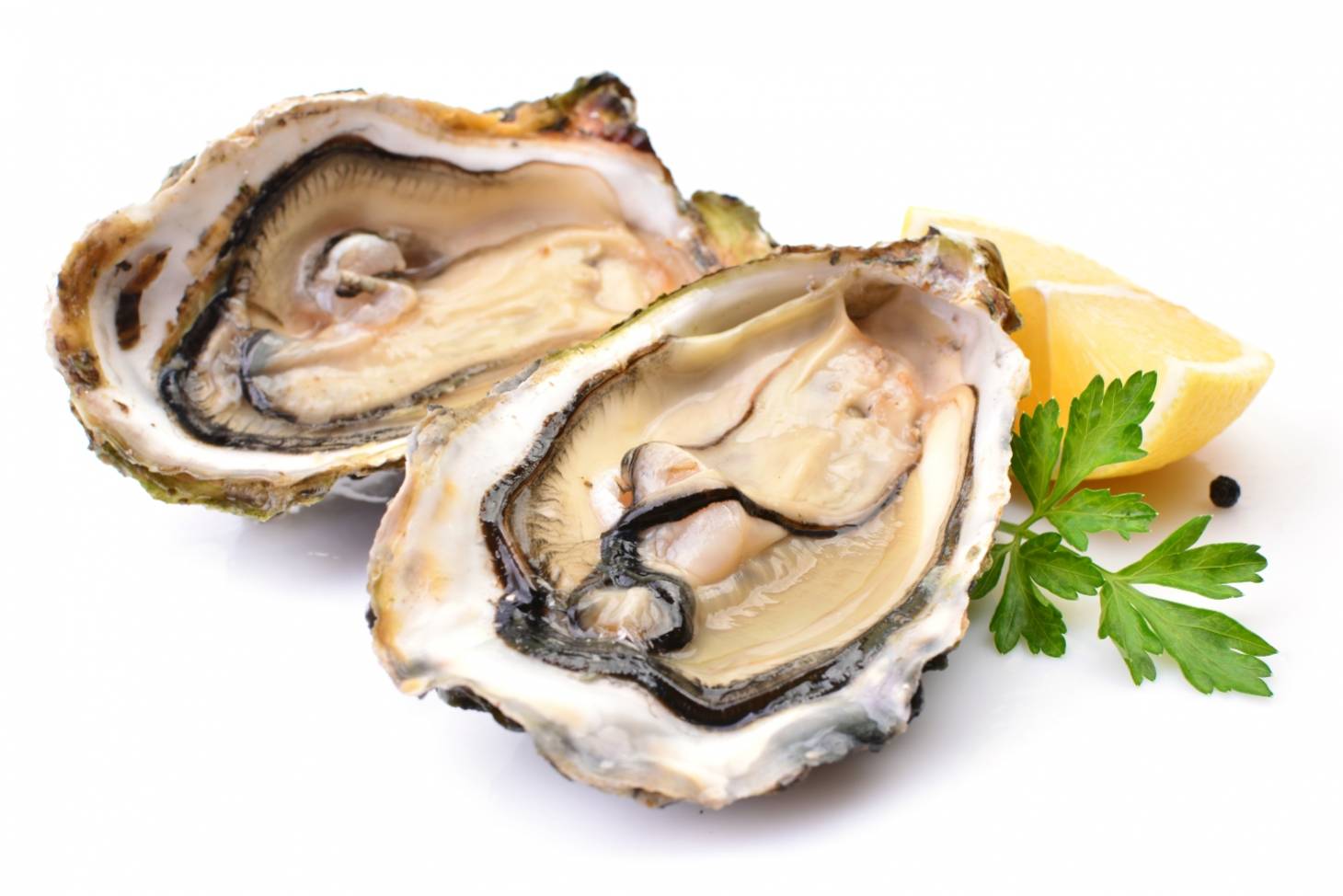 Zelf oesters rapen: dit moet je weten - RonReizen