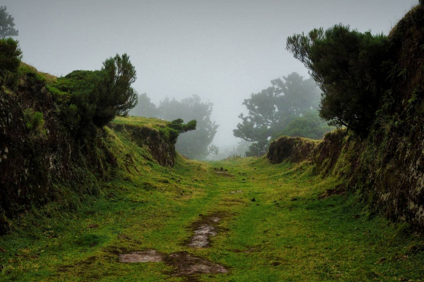 Portugal: boordevol cultureel en natuurlijk erfgoed - RonReizen