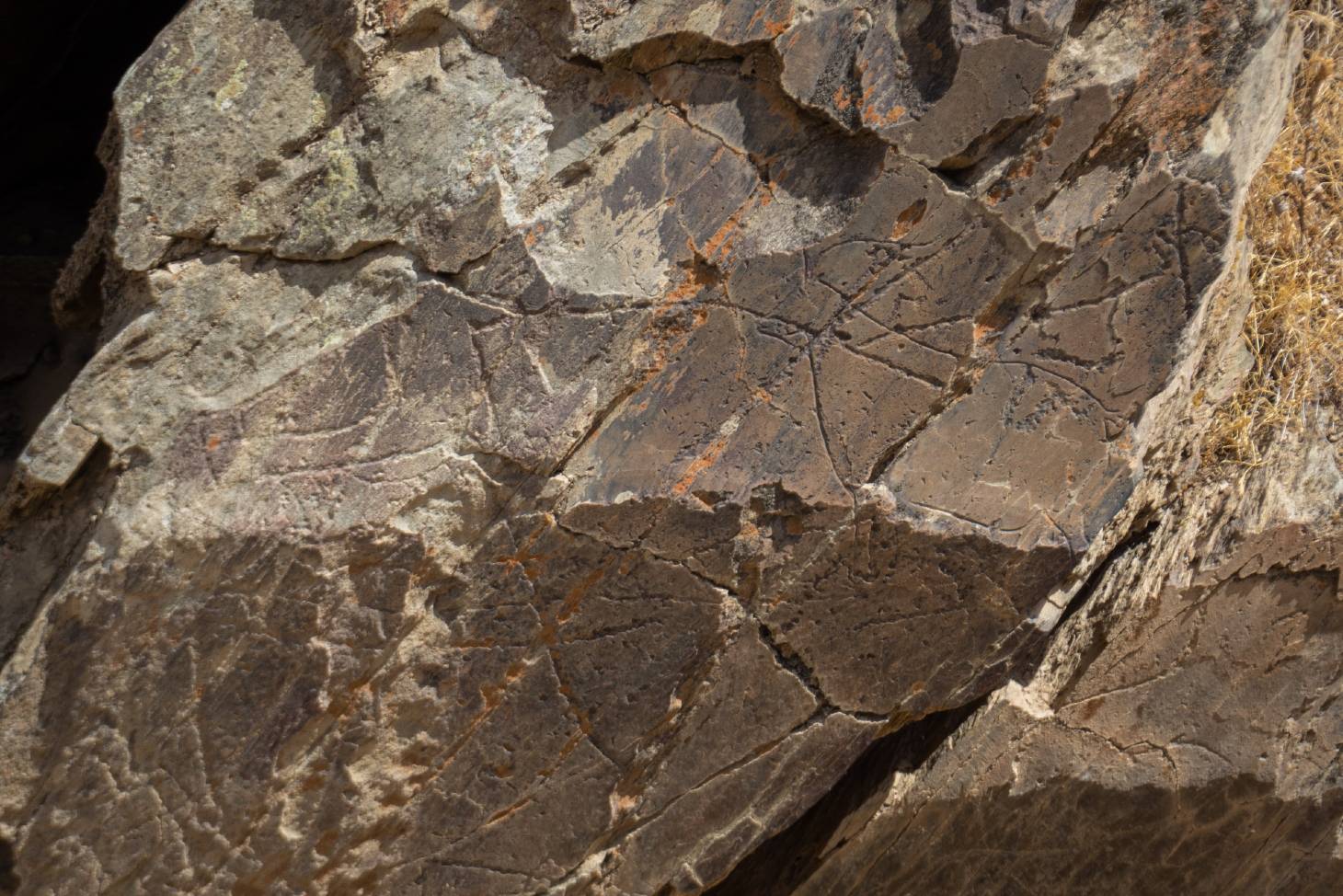 Portugal: boordevol cultureel en natuurlijk erfgoed - RonReizen