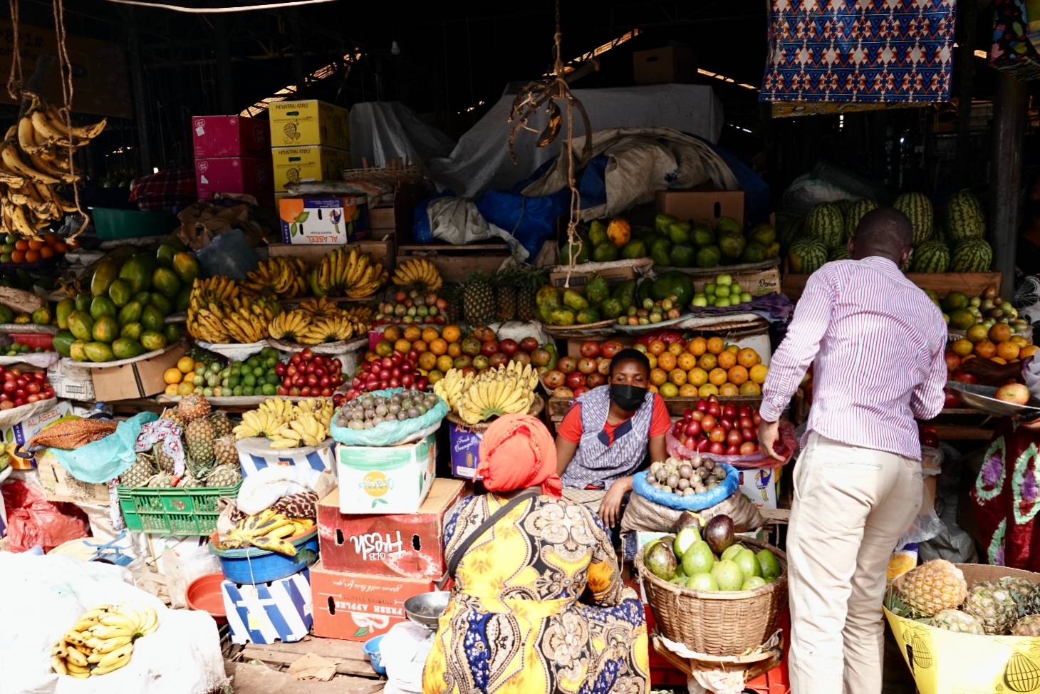 Prachtige rondreis door Rwanda (1) - RonReizen