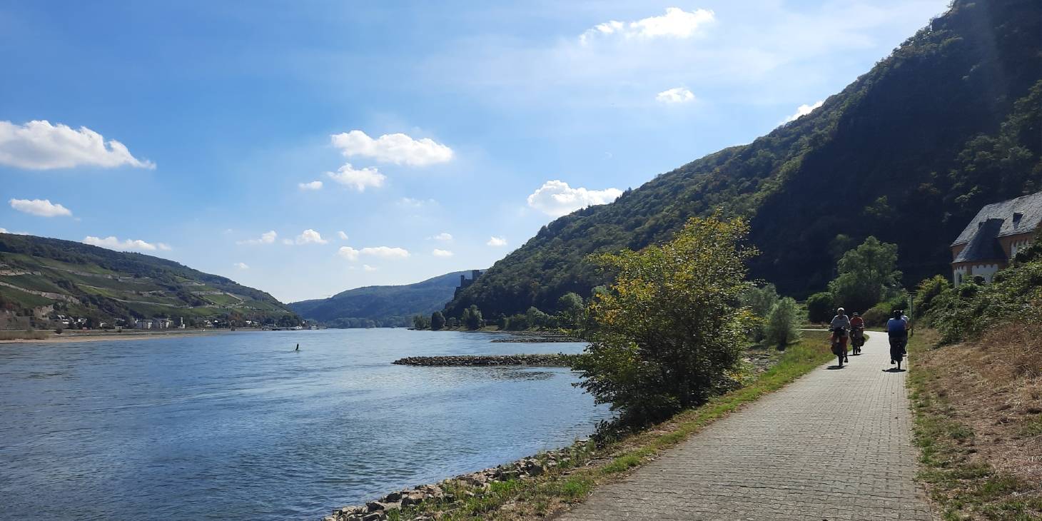 Fietsen met Bert langs de Romantische Rijn - RonReizen