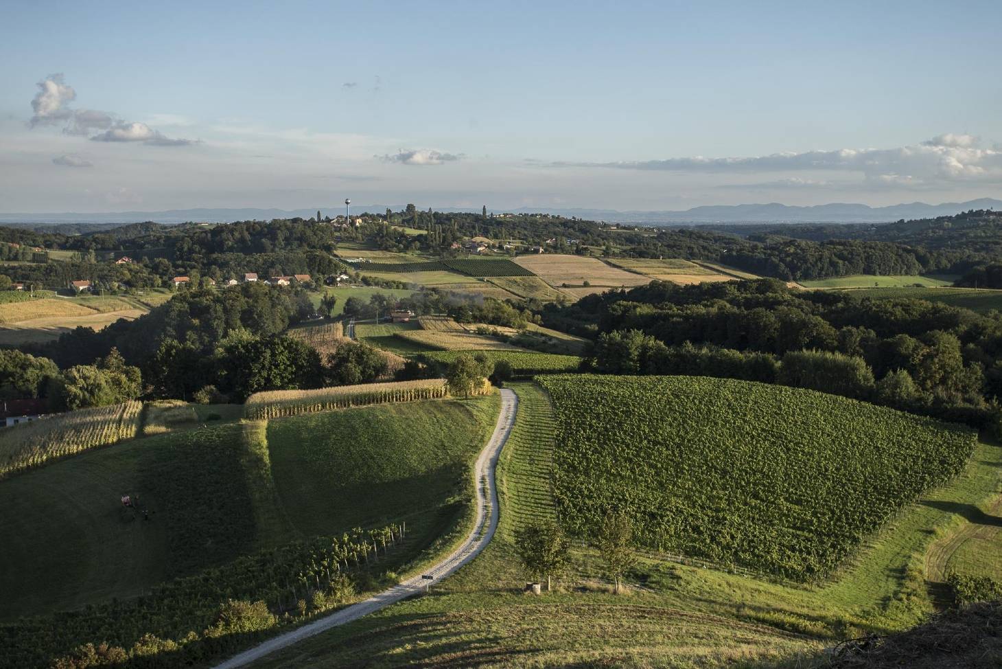 Ontdek Slavonië! - RonReizen