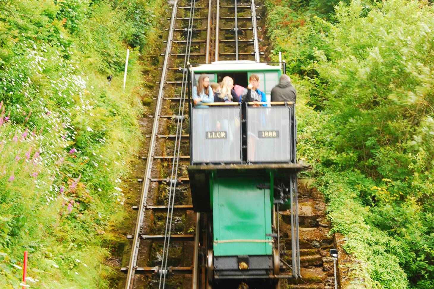 Roadtrip door subtropisch Zuid-Engeland - RonReizen