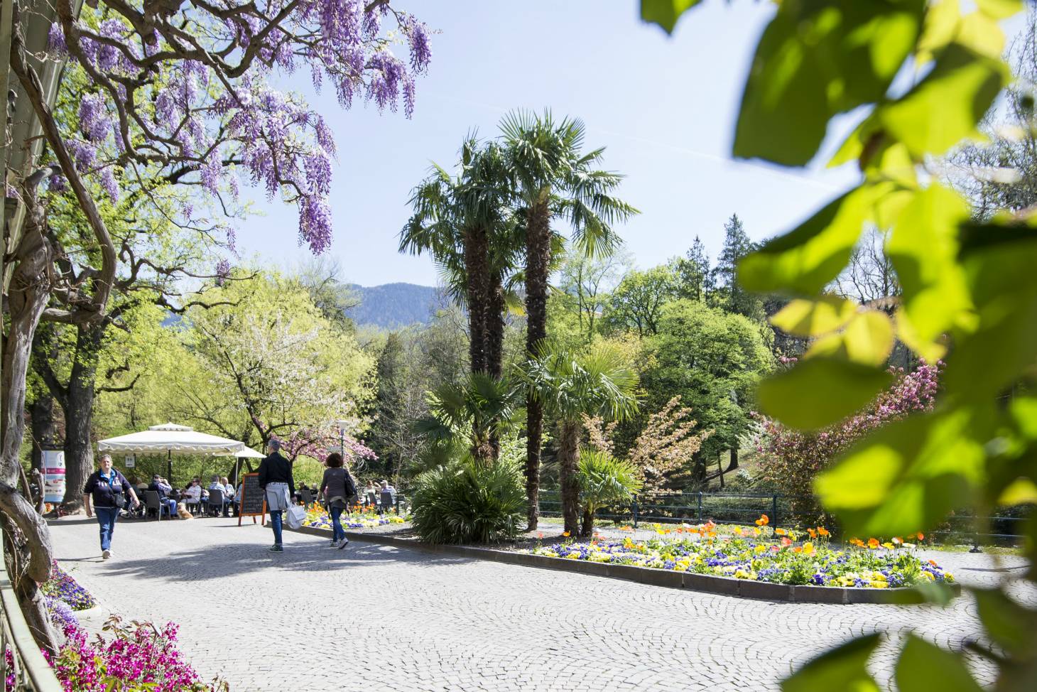 Tip in Zuid-Tirol: Scena en de omgeving van Merano - RonReizen
