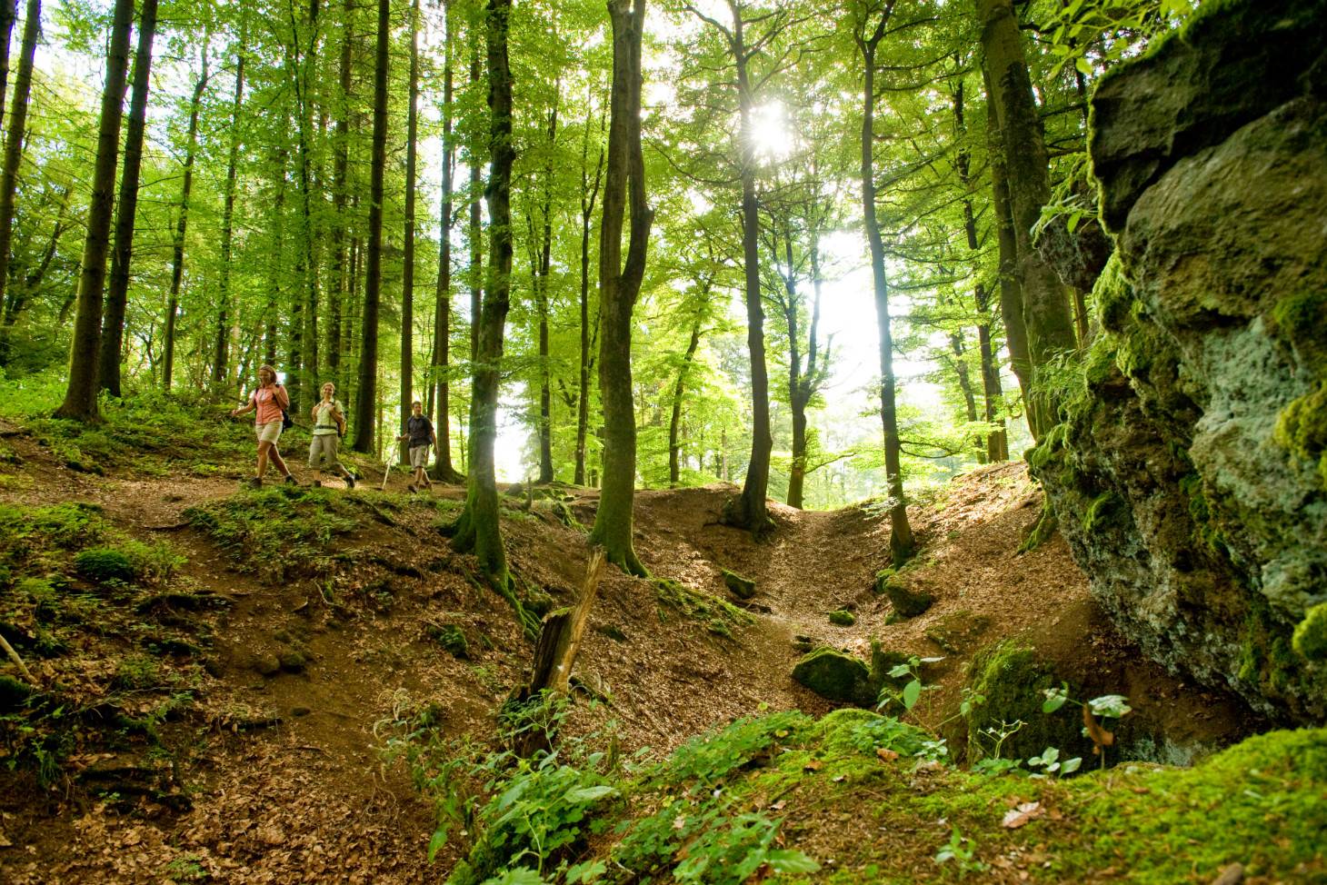 10 redenen voor een wandeling op de Eifelsteig - RonReizen