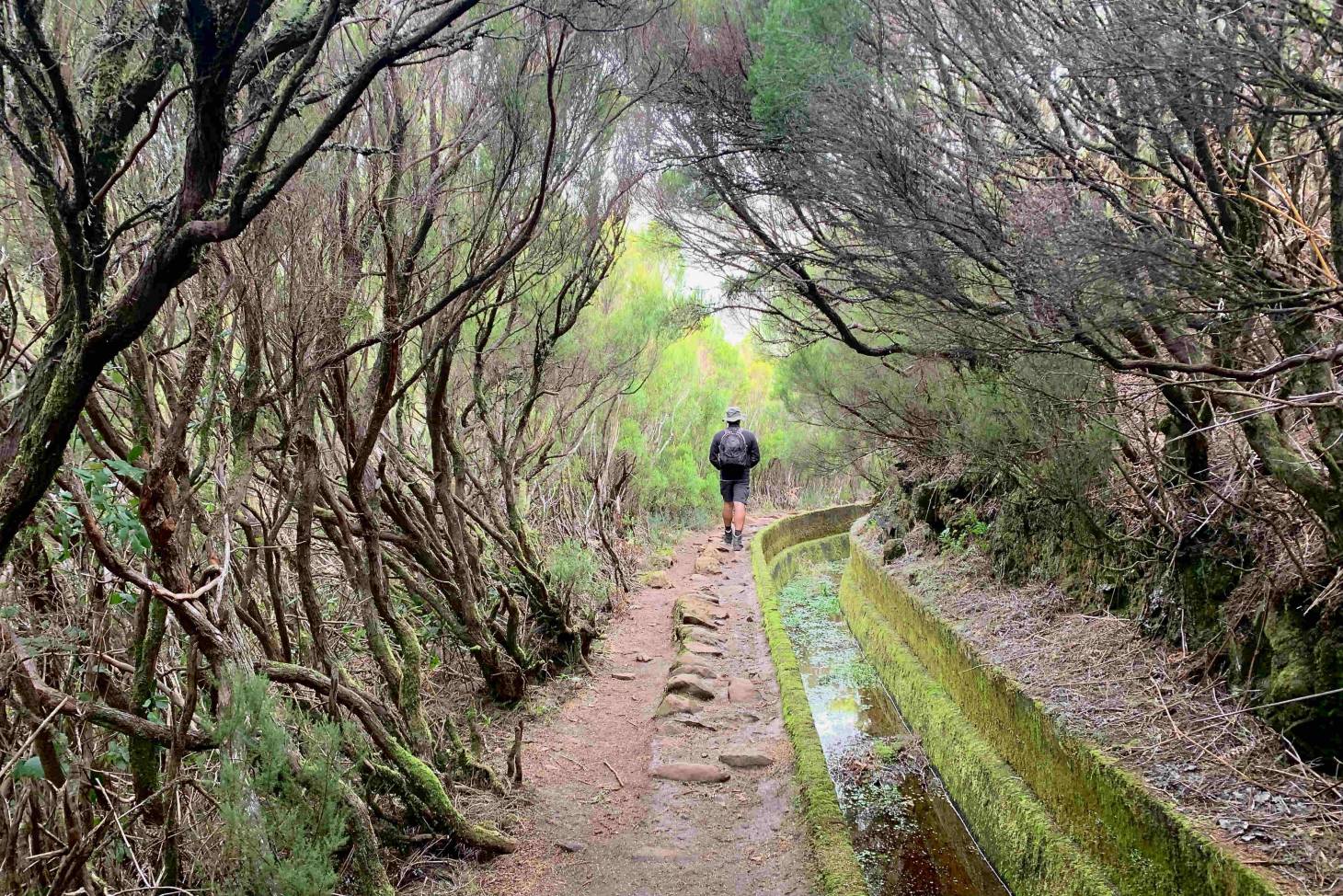 Madeira: 10 toptips om te ontdekken - RonReizen